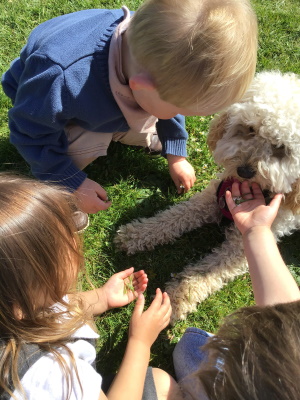 Nursery Class for 2-3 year olds